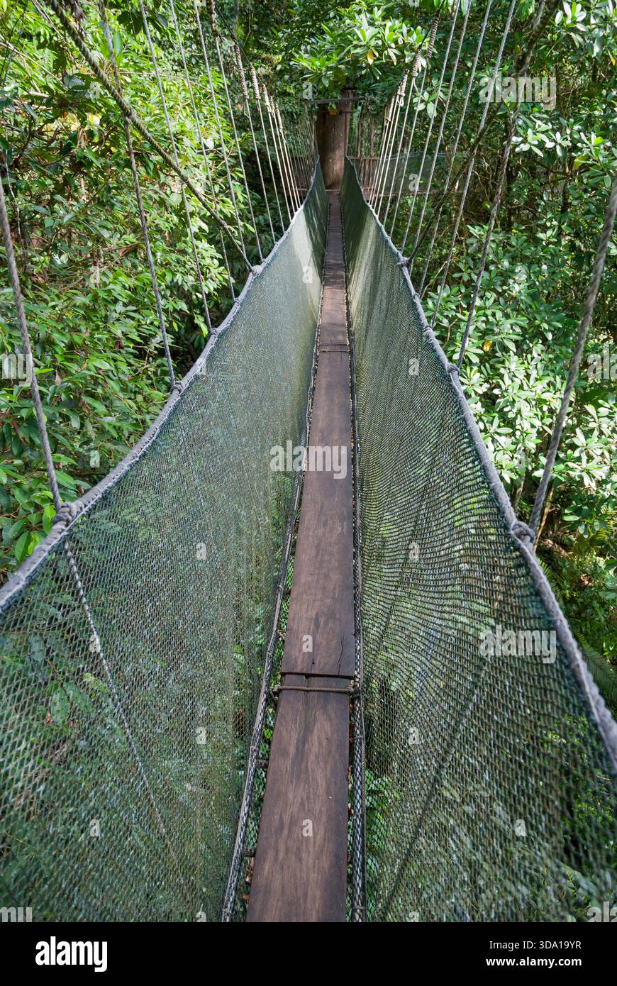 Canopy walkway, rope and steel cable suspension bridges, aluminium ...