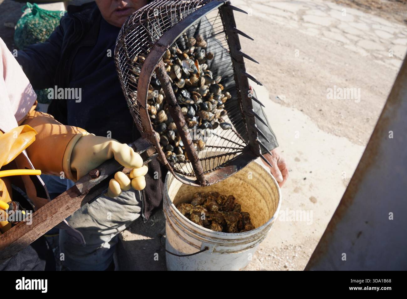 People go beachcombing on the beach in Qingdao City, east China's ...