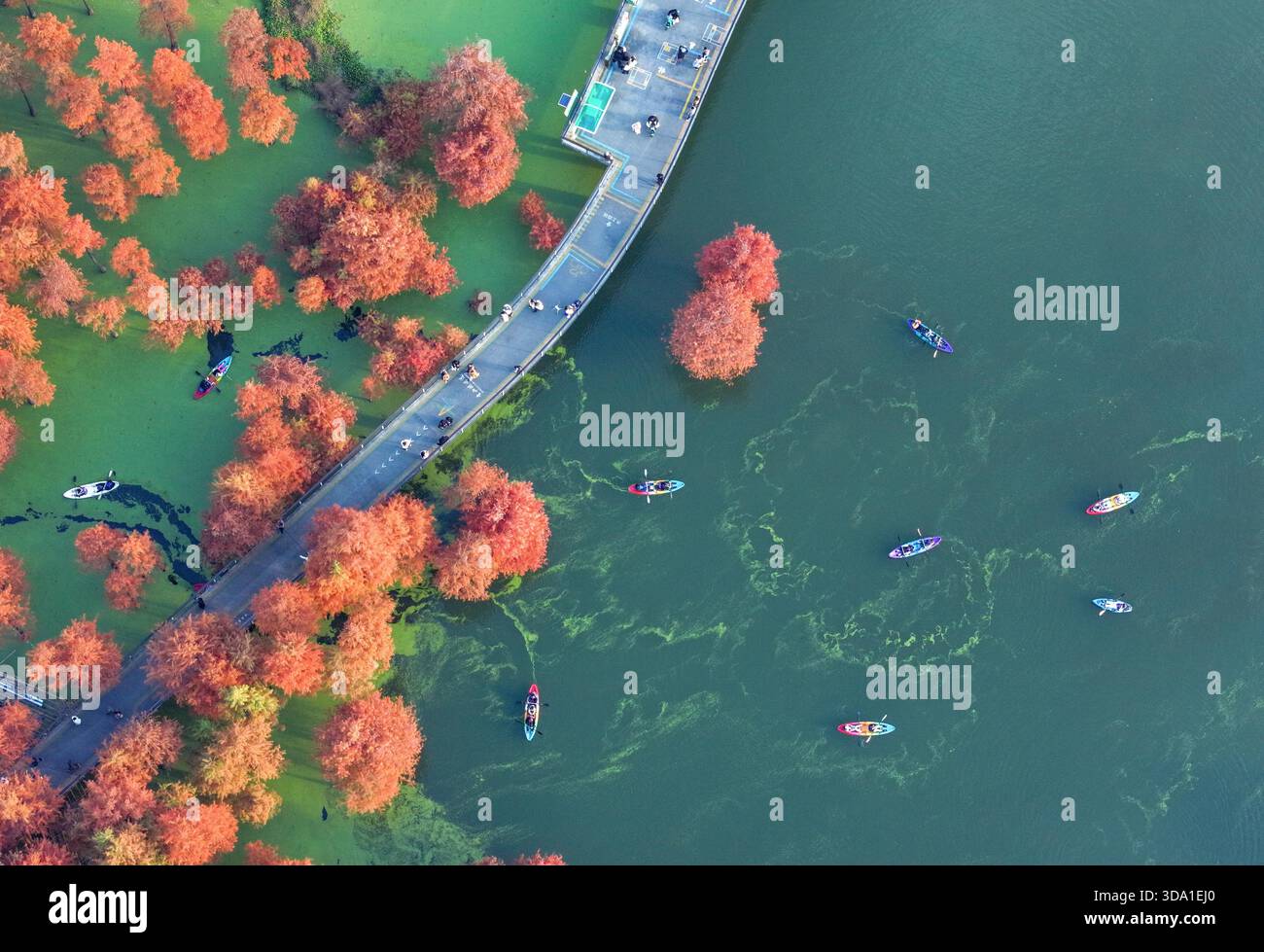 Aerial photo shows the winter scenery of a forest park in Hangzhou City ...