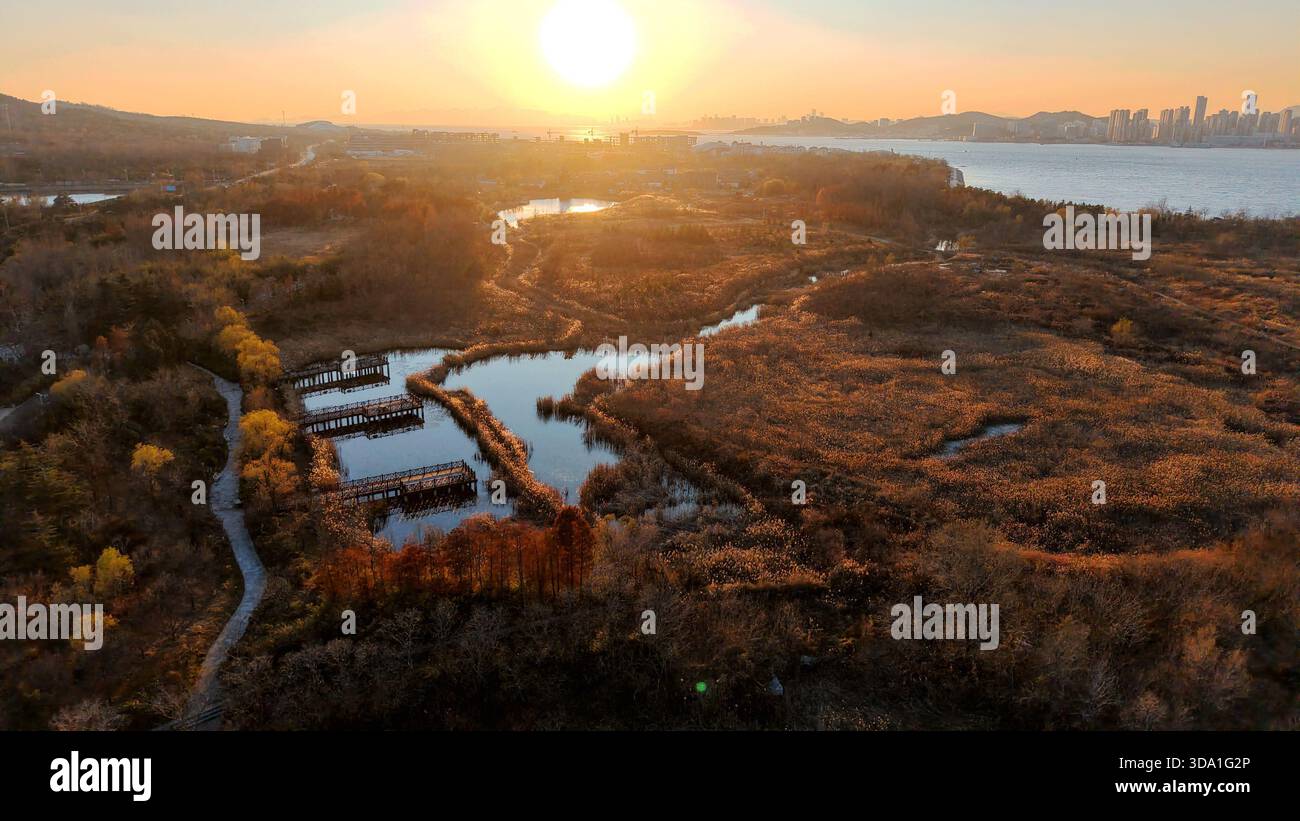 Aerial photo shows the winter scenery of a wetland park in Qingdao City ...