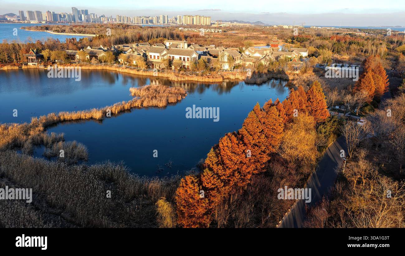 Aerial photo shows the winter scenery of a wetland park in Qingdao City ...