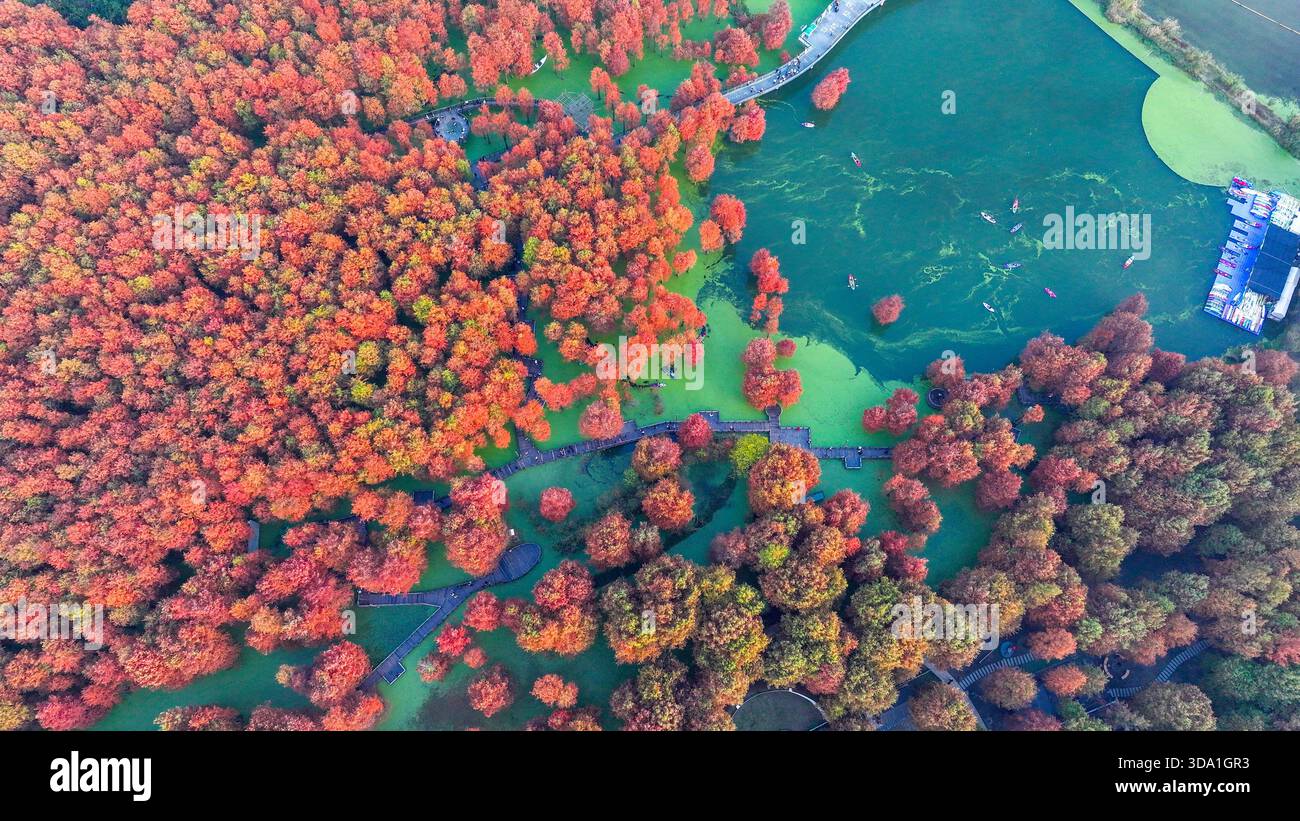 Aerial photo shows the winter scenery of a forest park in Hangzhou City ...