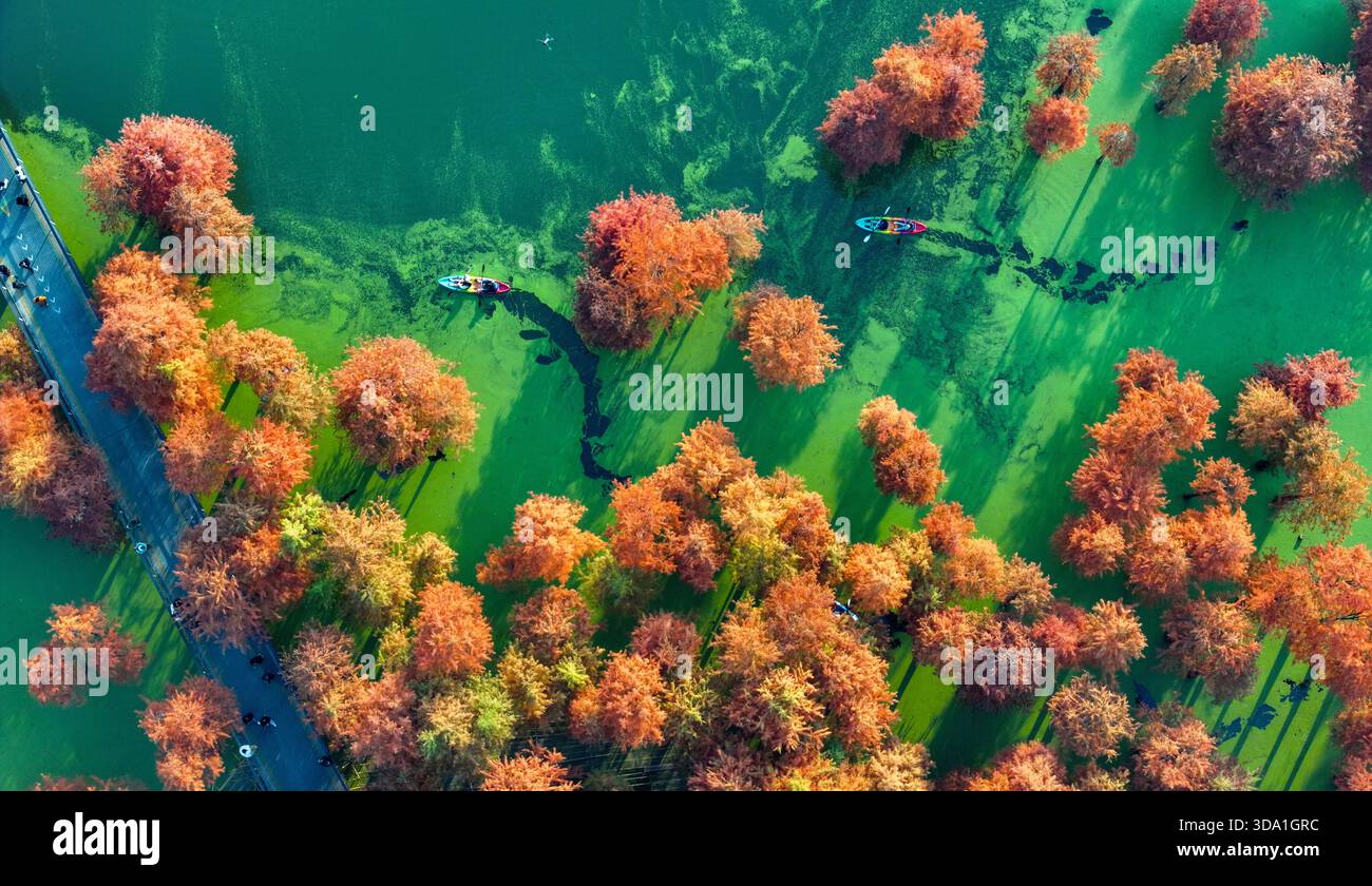 Aerial photo shows the winter scenery of a forest park in Hangzhou City ...