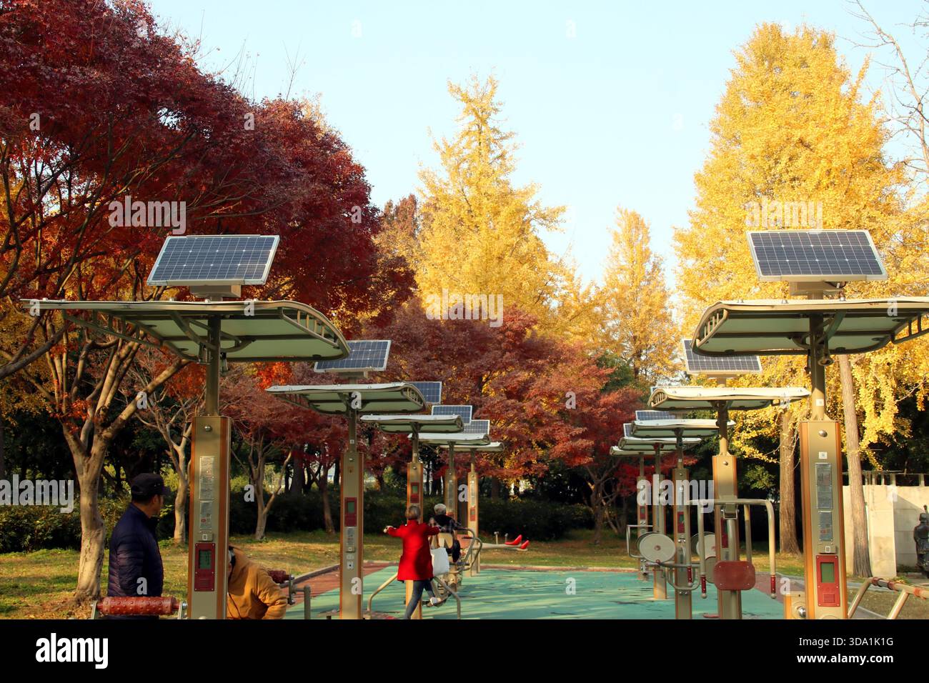 Tourists admire winter scenery at a park in Suzhou City, east China's ...