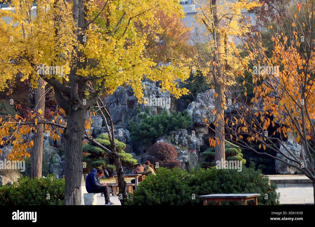 Tourists admire winter scenery at a park in Suzhou City, east China's ...