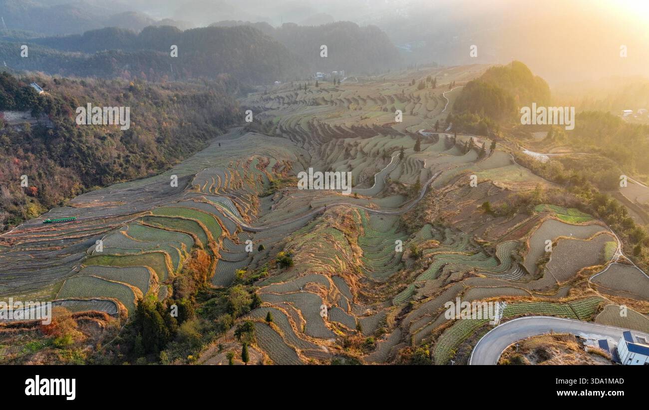 Aerial photo shows the winter scenery of terraced fields in Youyang ...