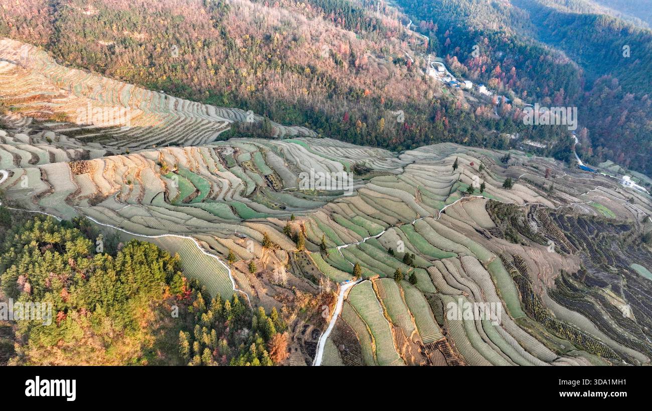 Aerial photo shows the winter scenery of terraced fields in Youyang ...