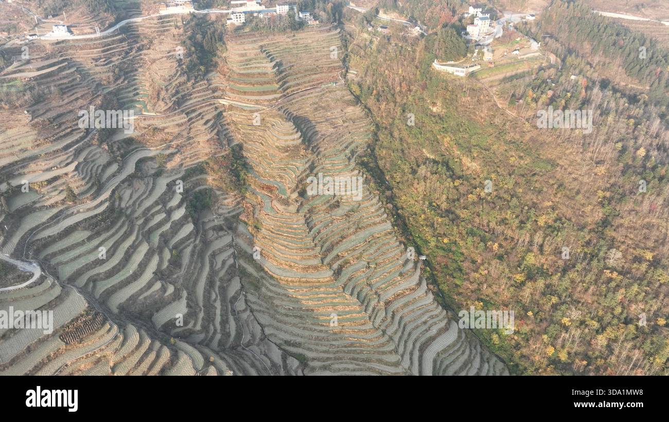 Aerial photo shows the winter scenery of terraced fields in Youyang ...