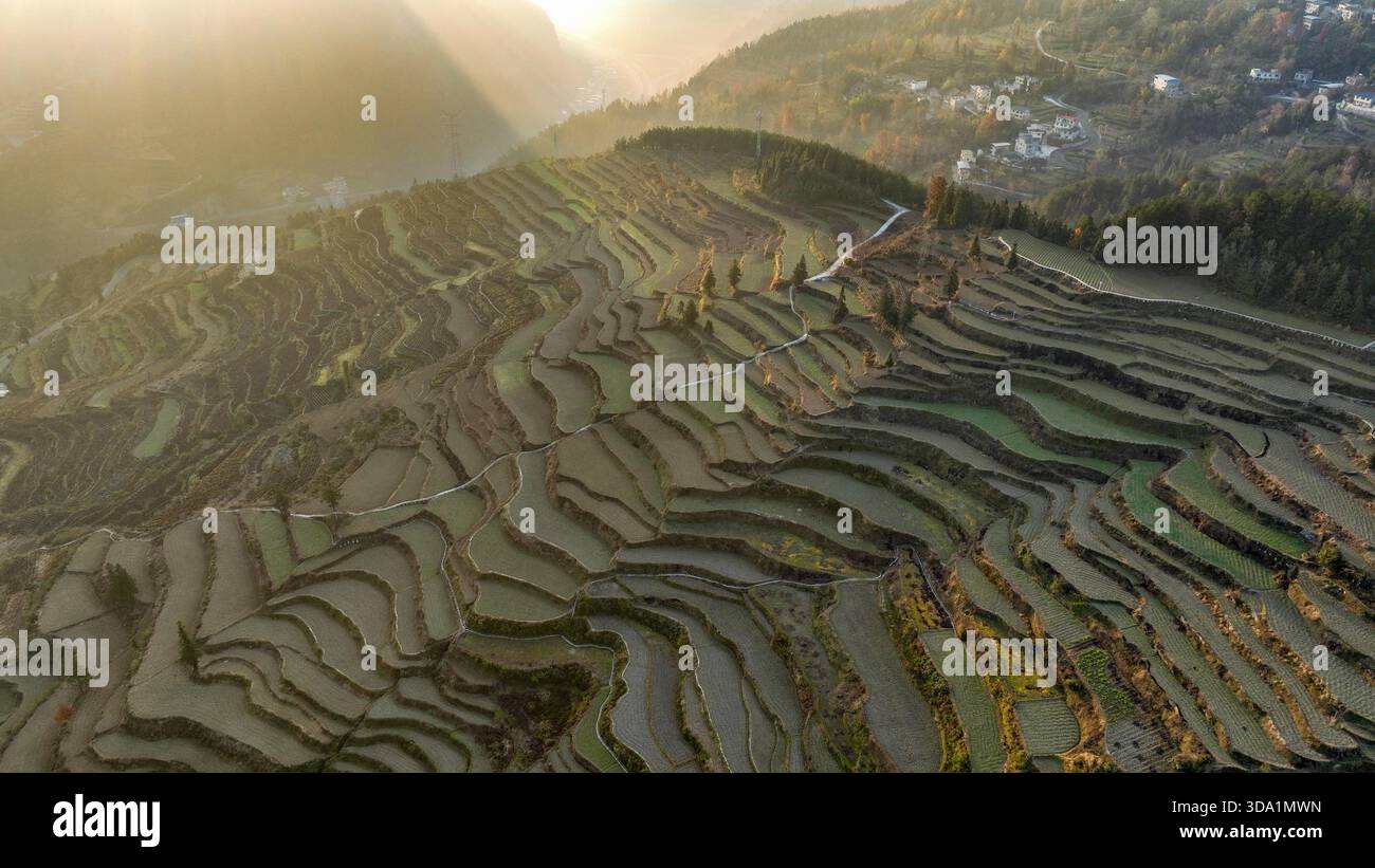 Aerial photo shows the winter scenery of terraced fields in Youyang ...