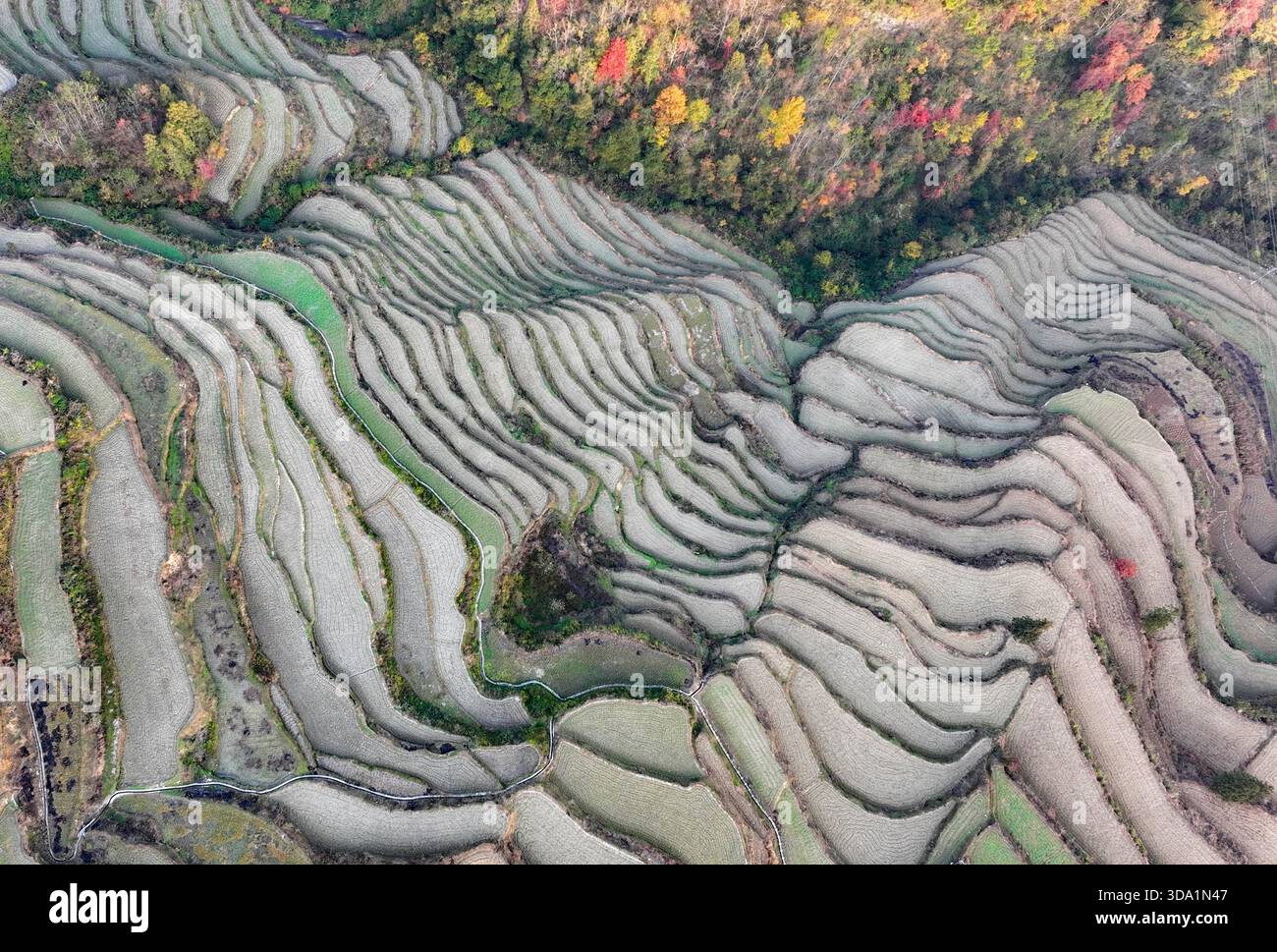Aerial photo shows the winter scenery of terraced fields in Youyang ...