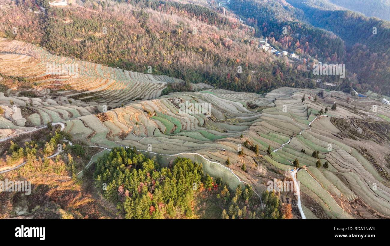 Aerial photo shows the winter scenery of terraced fields in Youyang ...