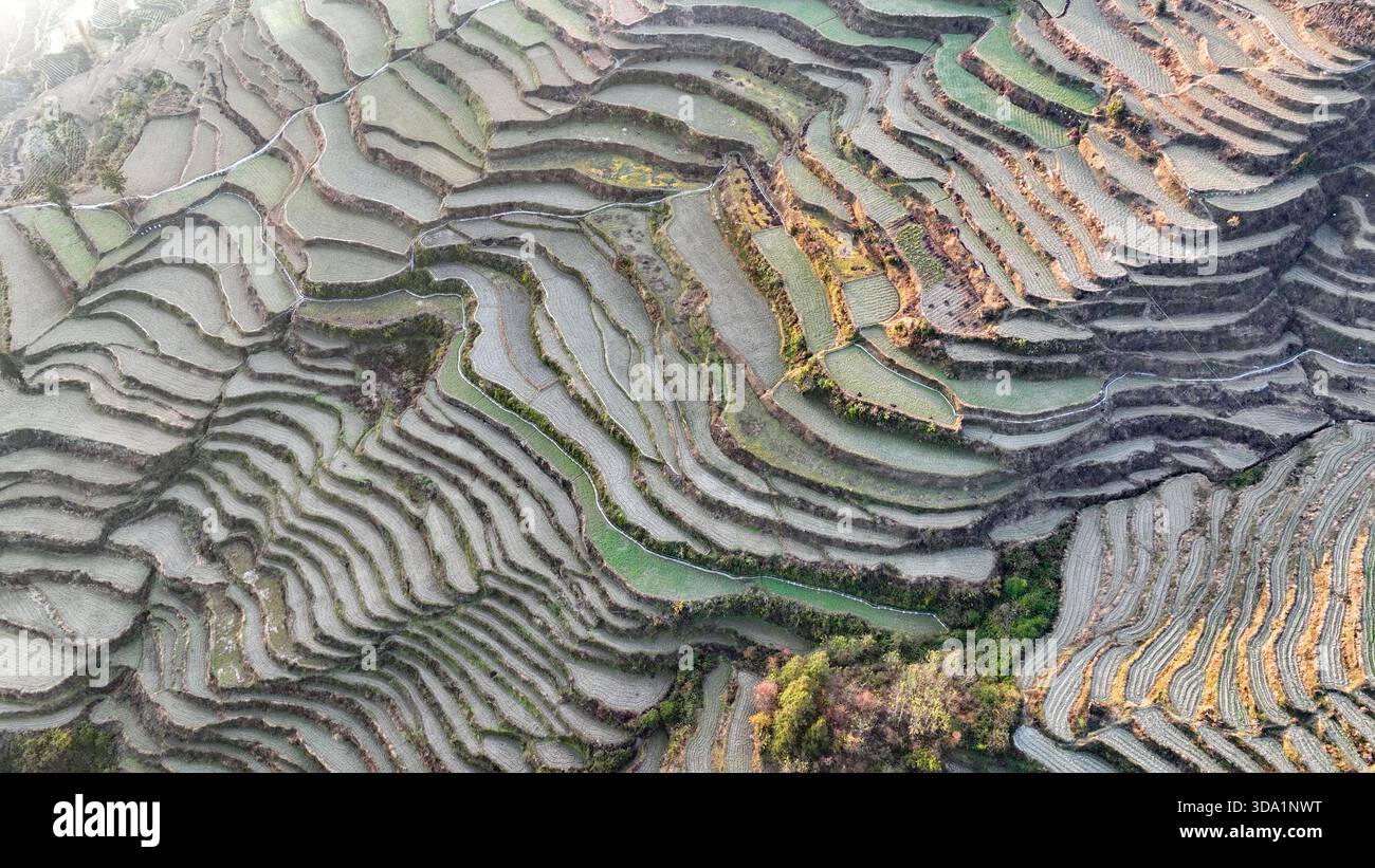 Aerial photo shows the winter scenery of terraced fields in Youyang ...