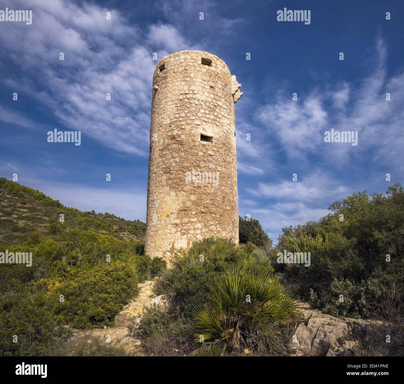 Ruins ancient tower amidst hi-res stock photography and images - Alamy