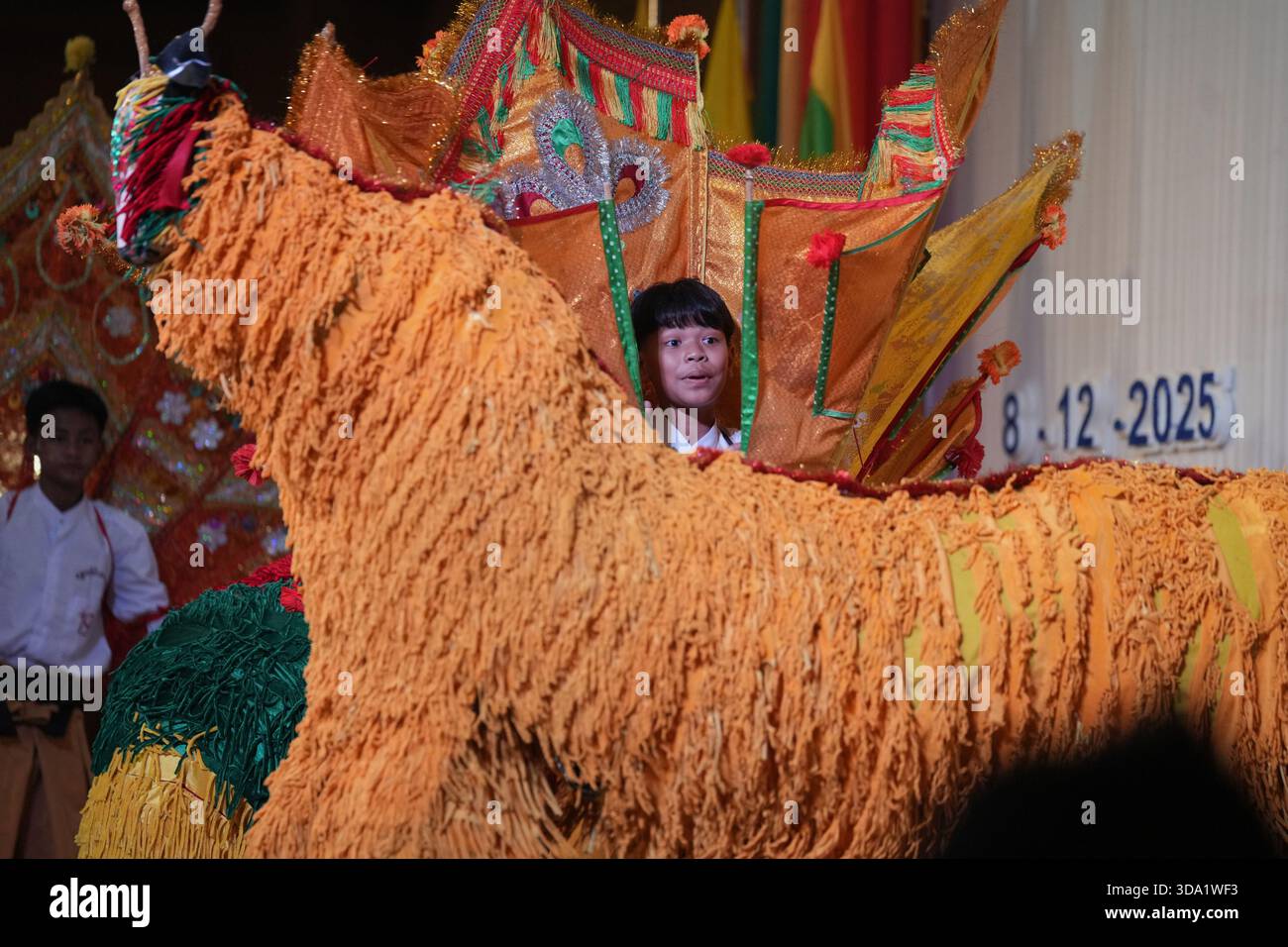Members of the Shan and Nationalities Democratic Party (SNDP), known as ...