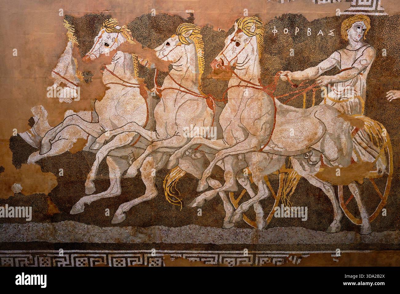 Greece, Macedonia, Pella, Archaeological Museum, Mosaic of the ...