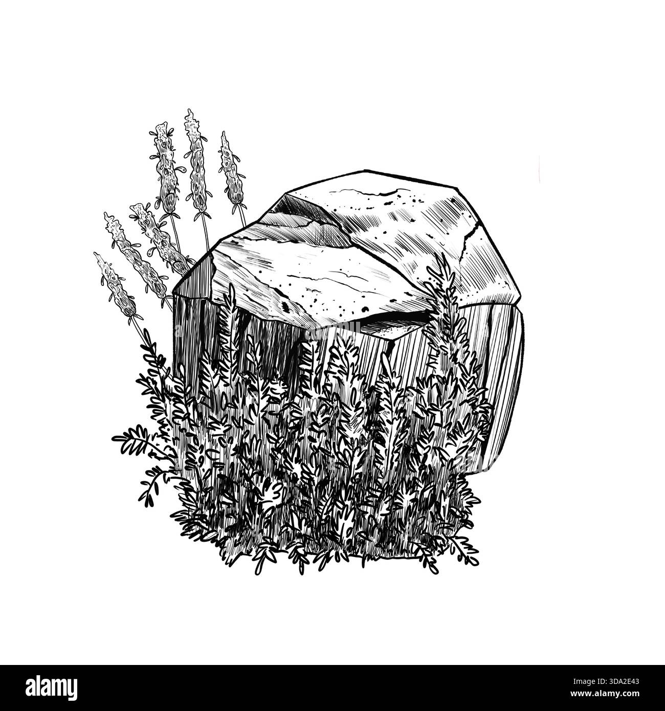 Natural stone with bush and flowers. Hand drawn black white ...