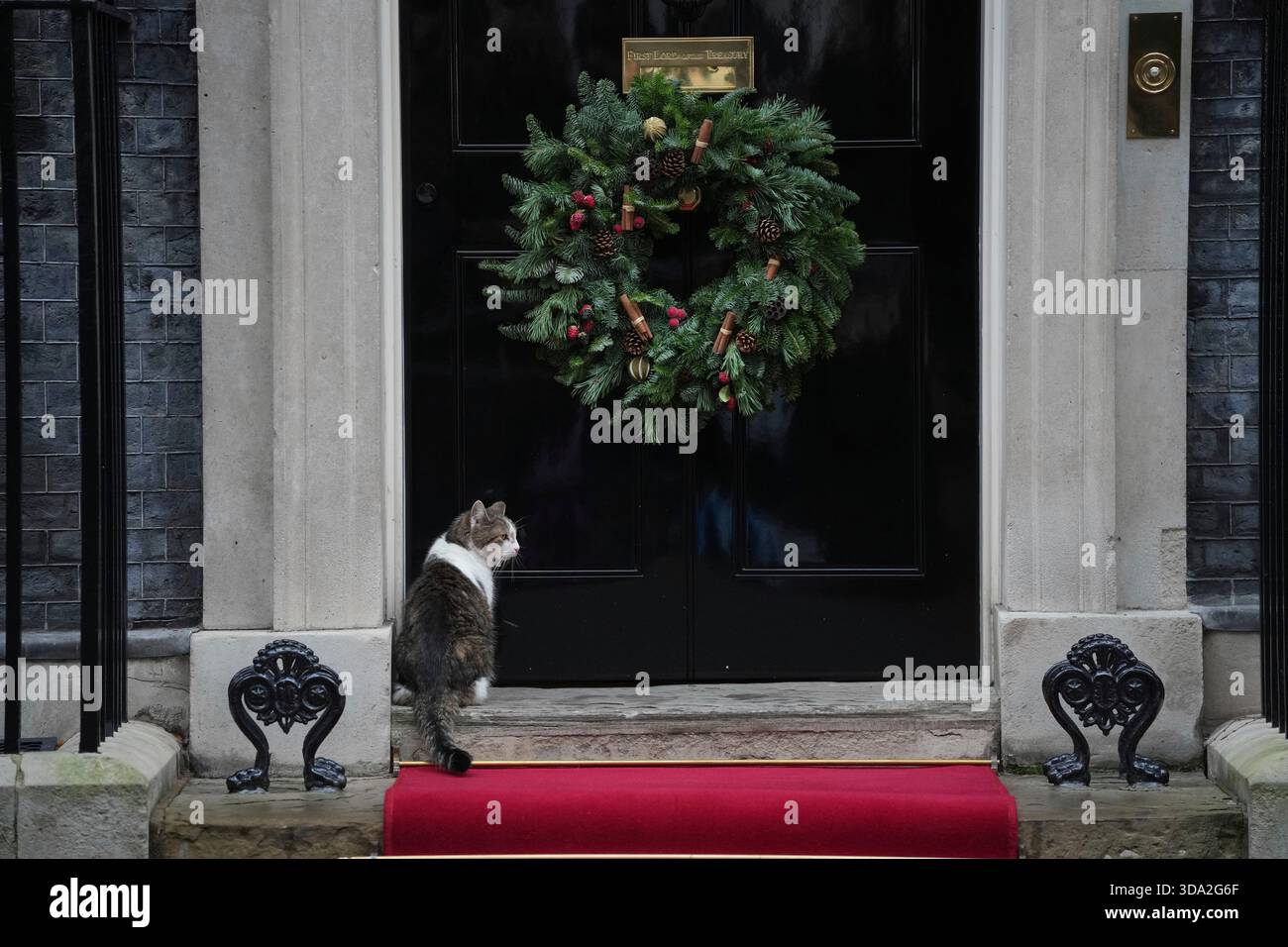 Larry the cat, Chief Mouser to the Cabinet Office wait for the door of ...