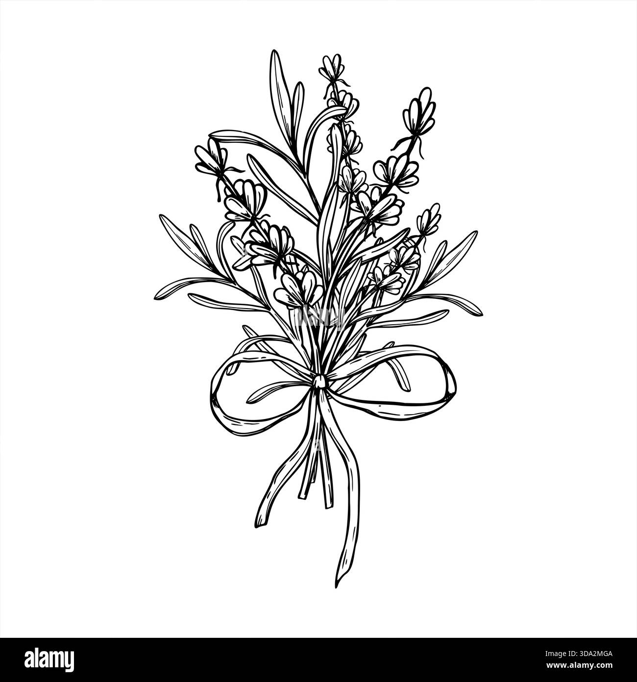 Lavender ribbon Black and White Stock Photos & Images - Alamy