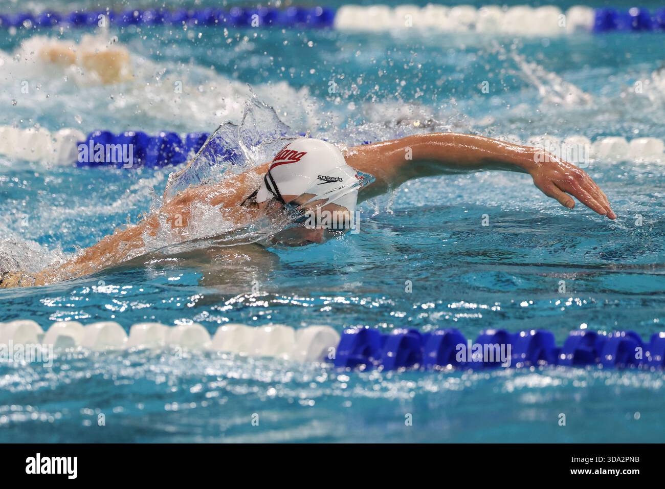 AUSTIN, TX - DECEMBER 04: Aaron Shackell competes in a men's 400 meter ...