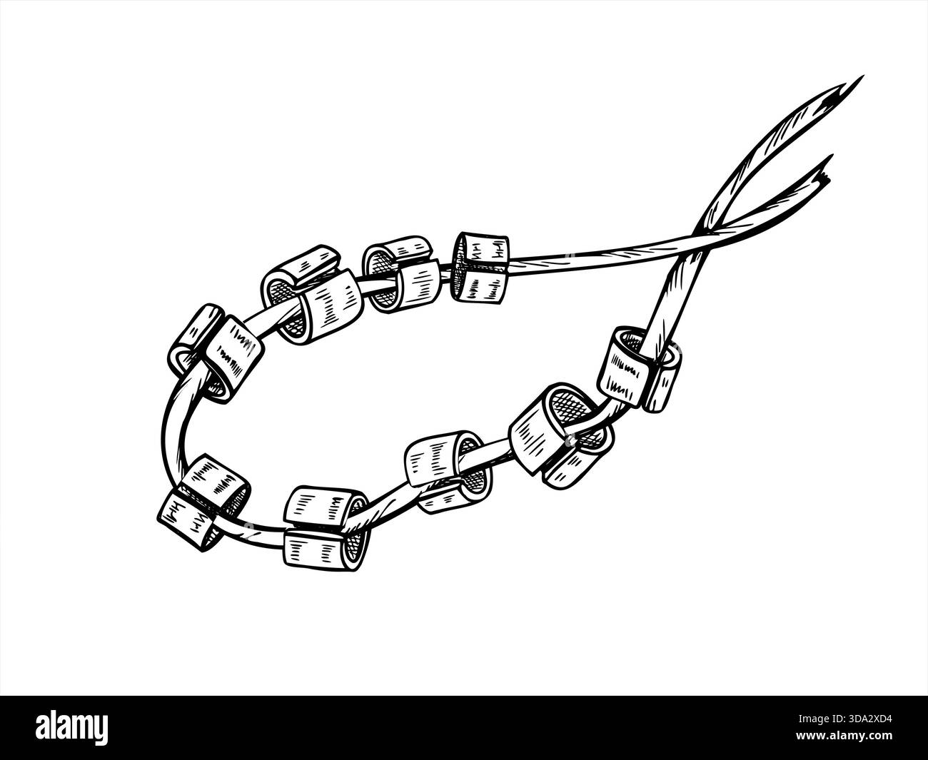 Set nature wildlife reserve Cut Out Stock Images & Pictures - Alamy