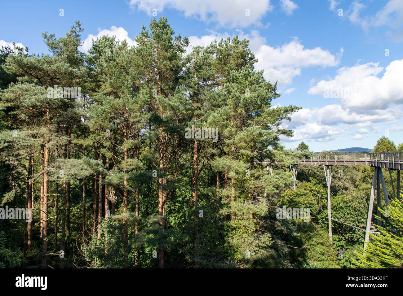 Avondale hi-res stock photography and images - Alamy