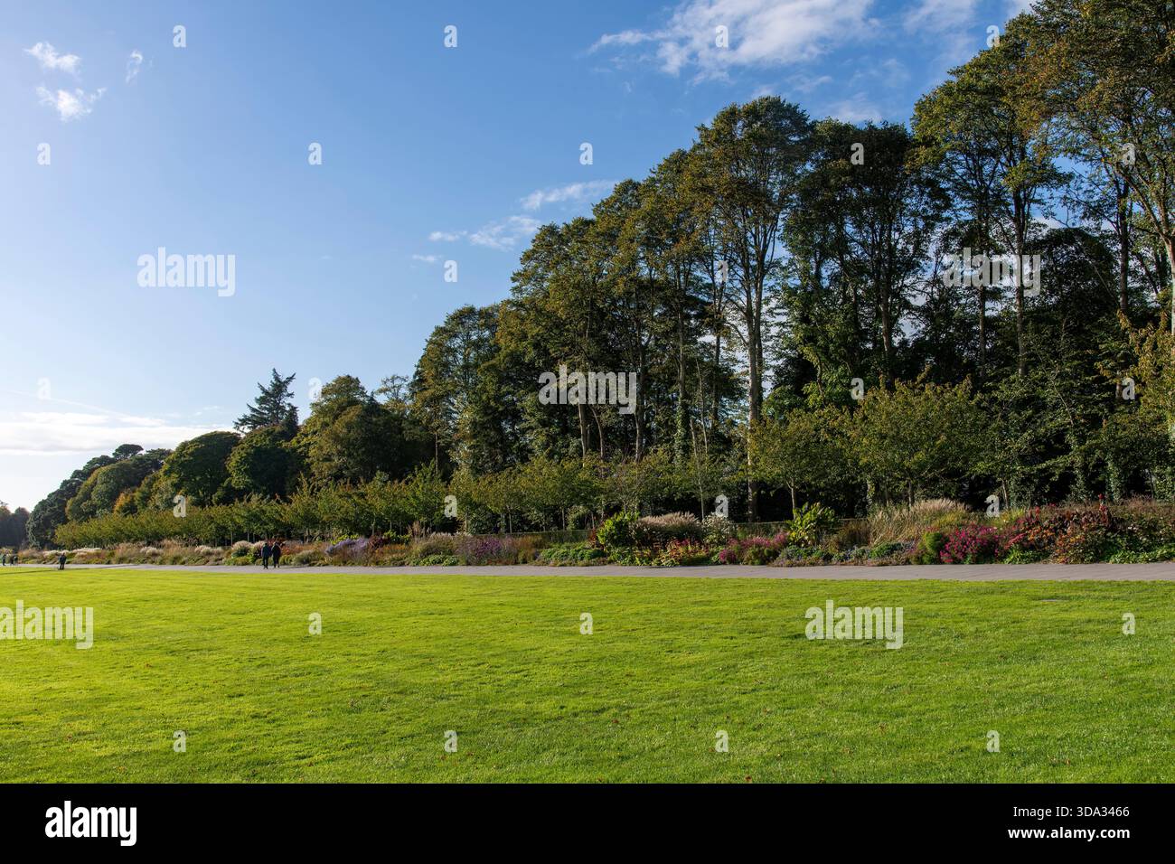 Killarney, Ireland-September 28, 2025; Garden of Irish country home ...