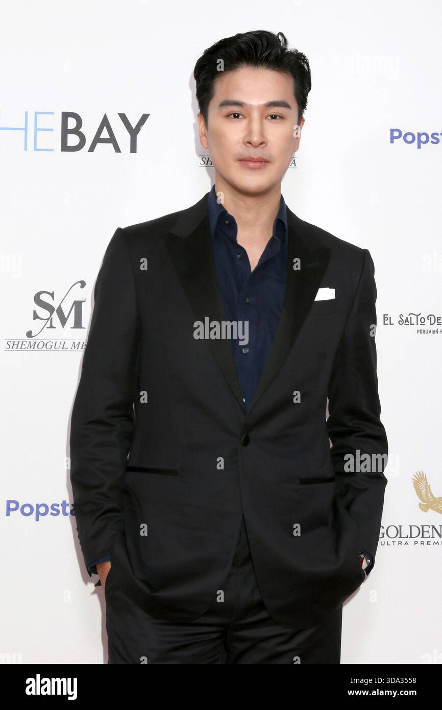LOS ANGELES - DEC 5: Daniel Wang at the The Bay Season 10 Premiere at ...