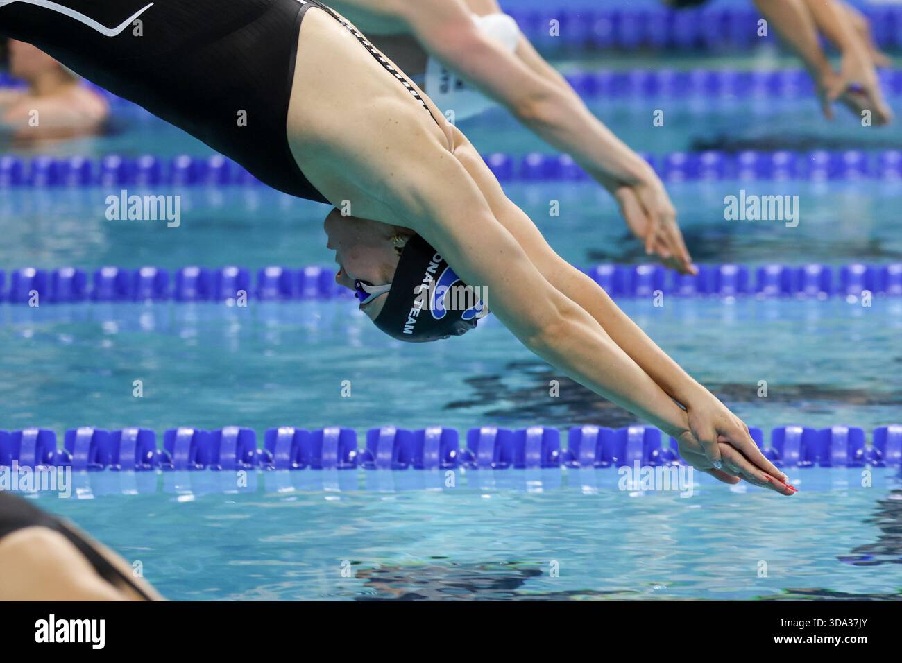 AUSTIN, TX - DECEMBER 05: Alex Shackell dives into the pool at the ...