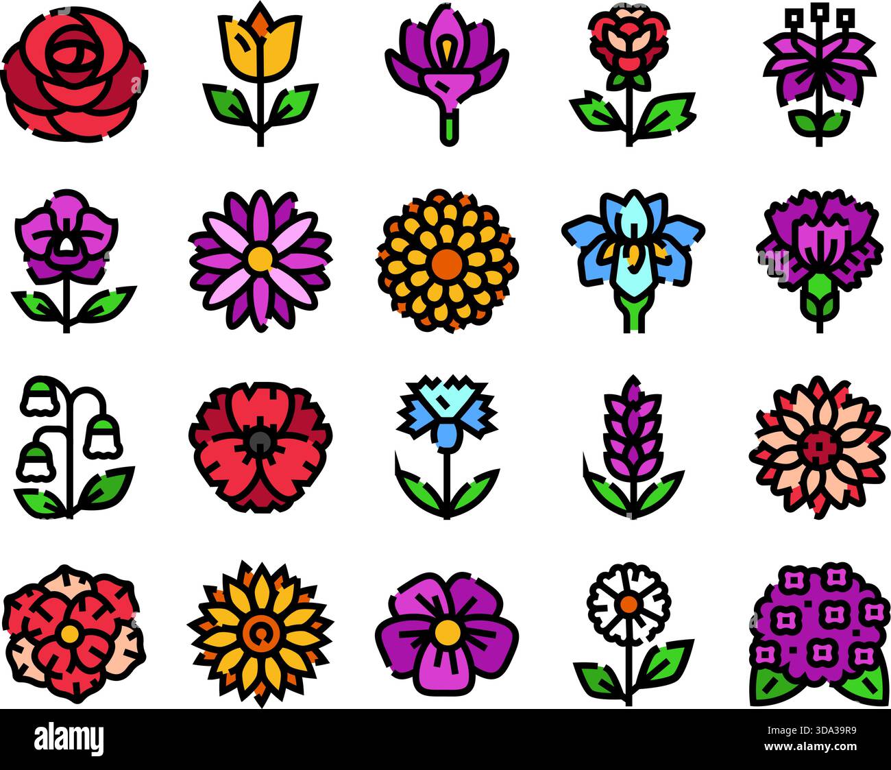 Hydrangea variety Stock Vector Images - Alamy