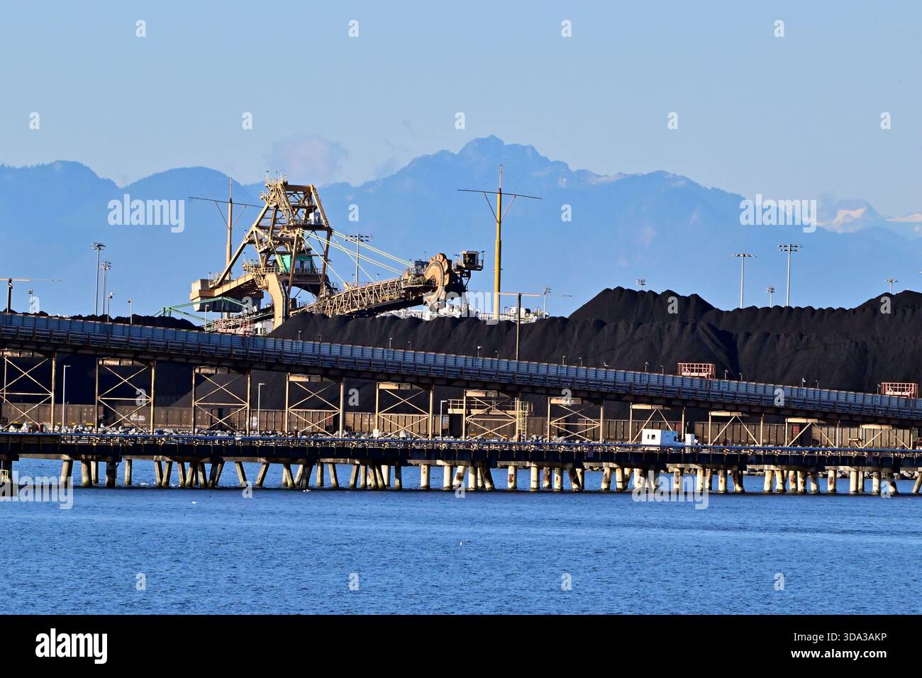 A bulk coal conveyor piling raw coal for loading on to a bulk carrier ...