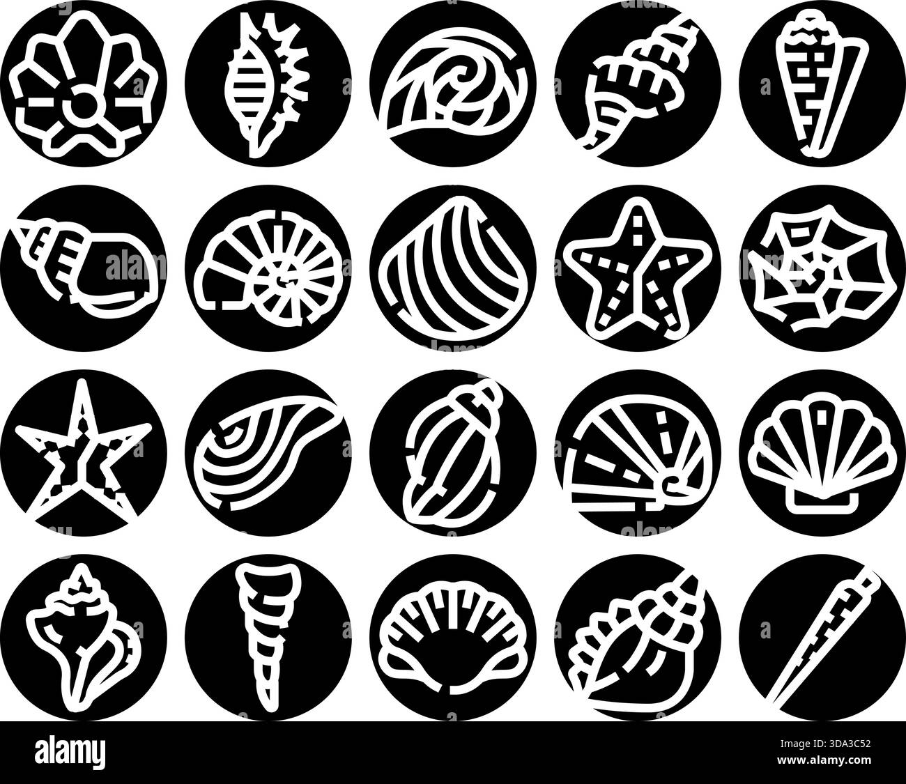 Environment marine invertebrate Black and White Stock Photos & Images ...