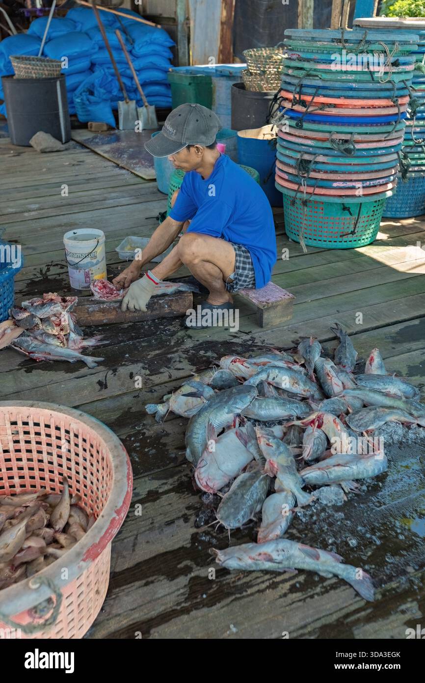 Fisherman cleaning the fish on the pier in the fishing village at Palau ...