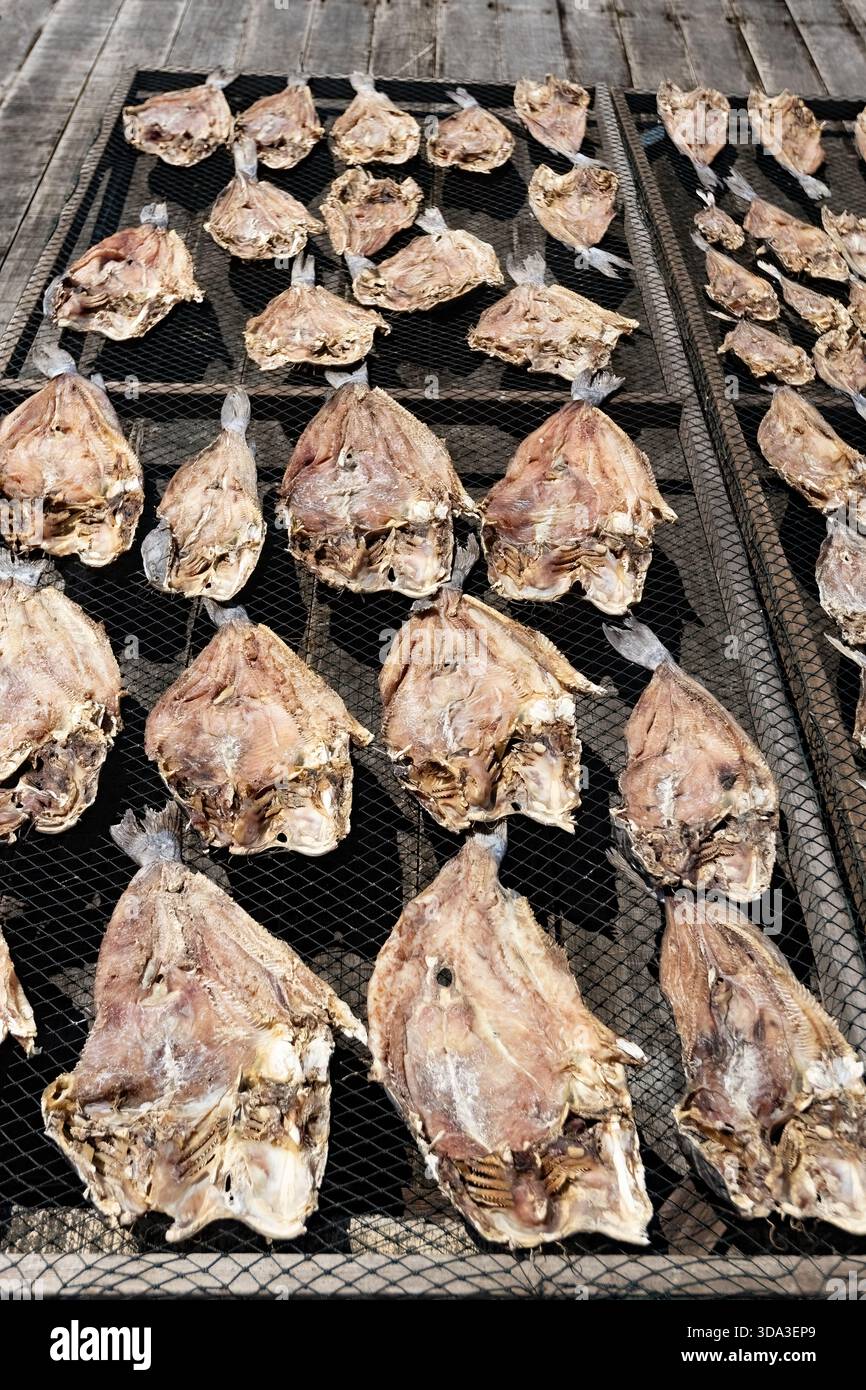 Sun dried fish on the wooden pier in the fishing village in Palau Ketam ...