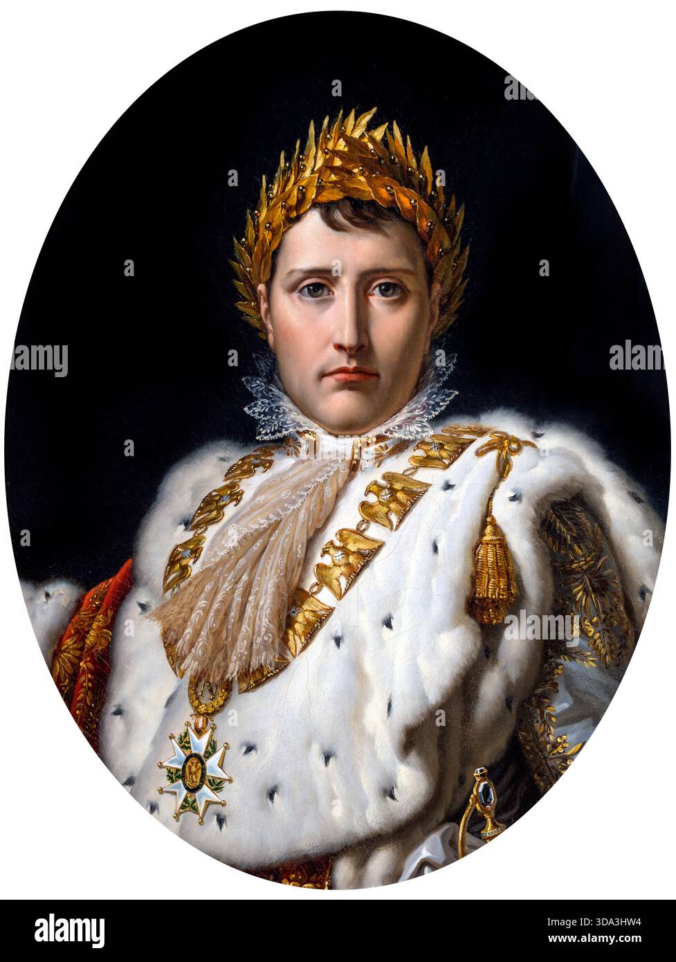 Napoleon francois bonaparte Cut Out Stock Images & Pictures - Alamy