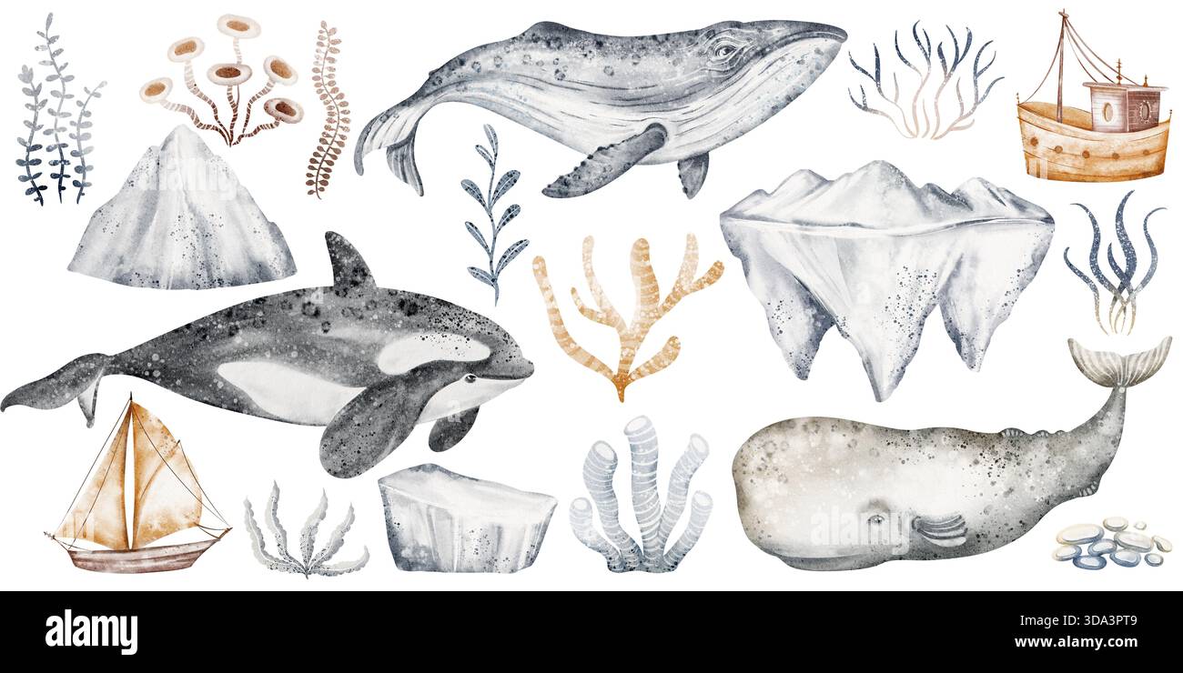 Floe berg Cut Out Stock Images & Pictures - Alamy