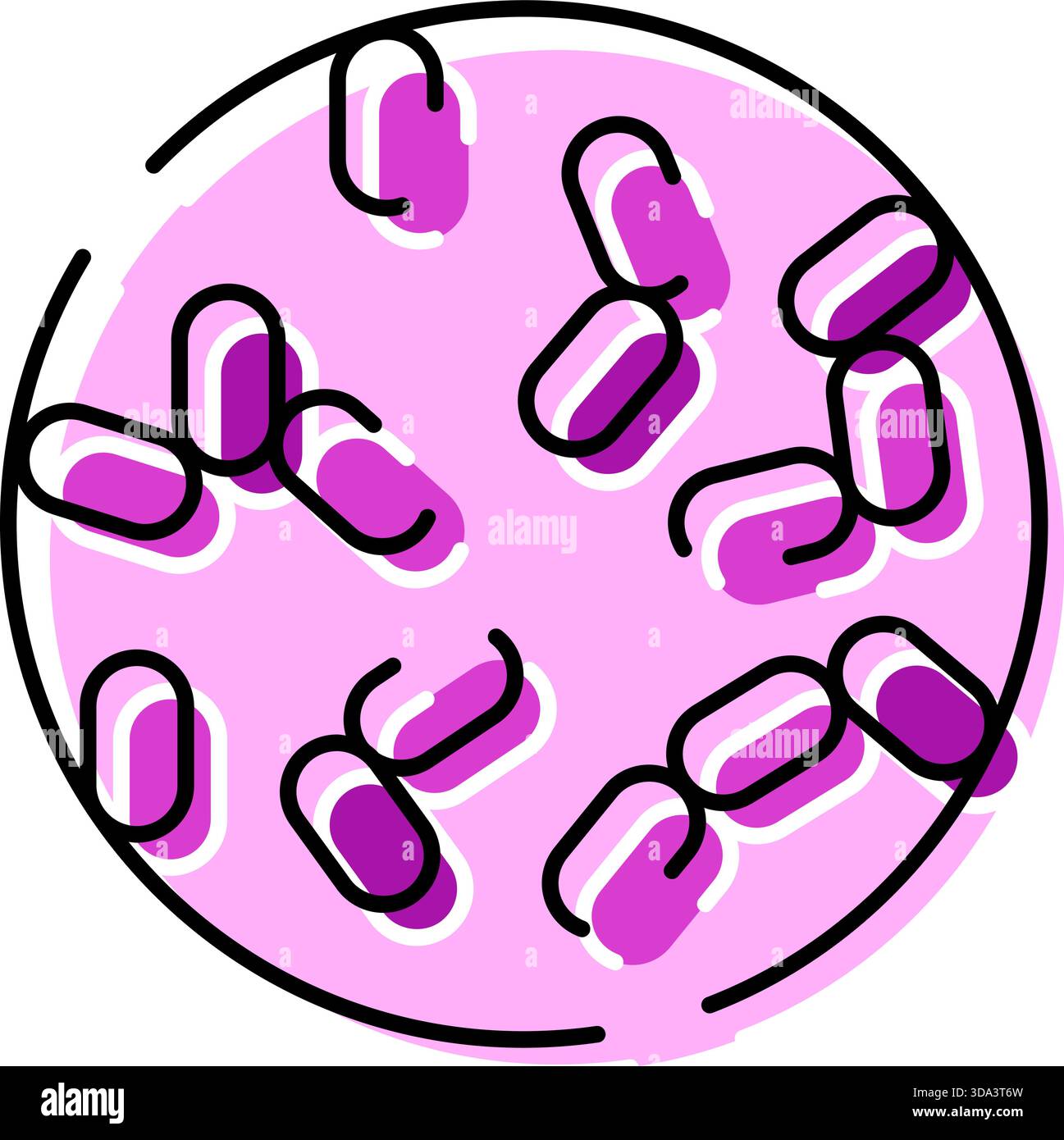 Bacteria cells multiplying inside petri dish science illustration Stock ...