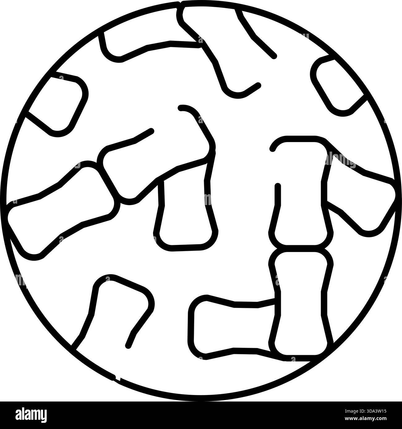 Microscopic bacteria cells multiplying inside a round petri dish Stock ...