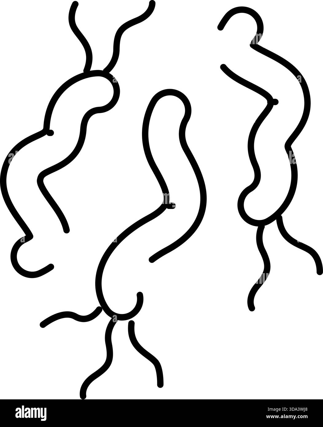 Campylobacter bacteria Black and White Stock Photos & Images - Alamy