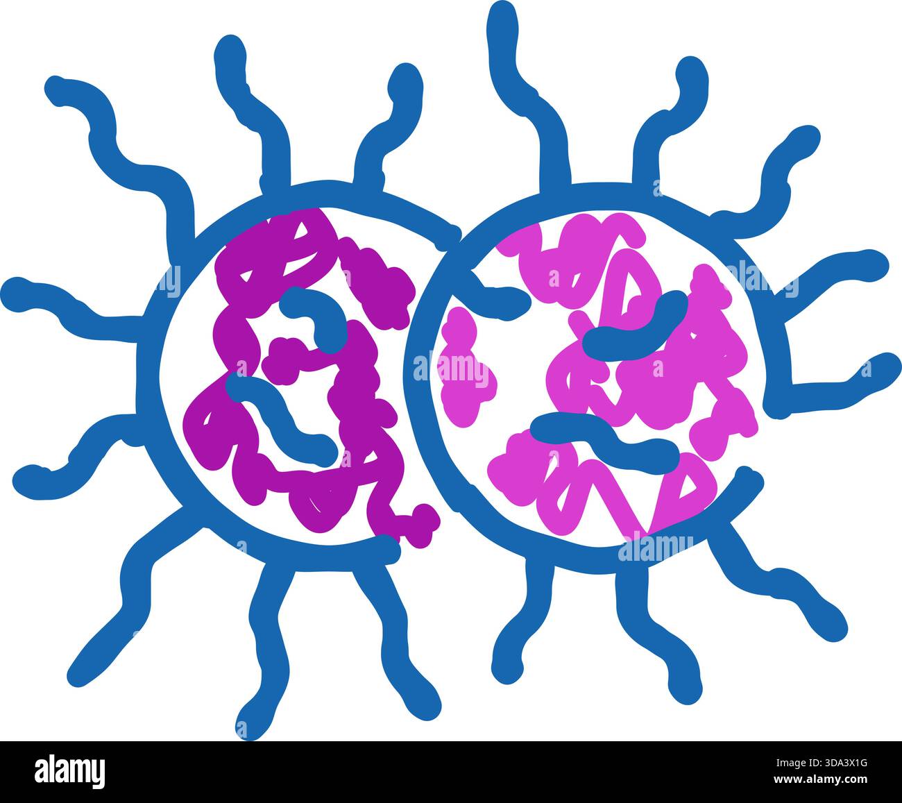 Microbe cells multiplying dividing cell virus illustration Stock Vector ...