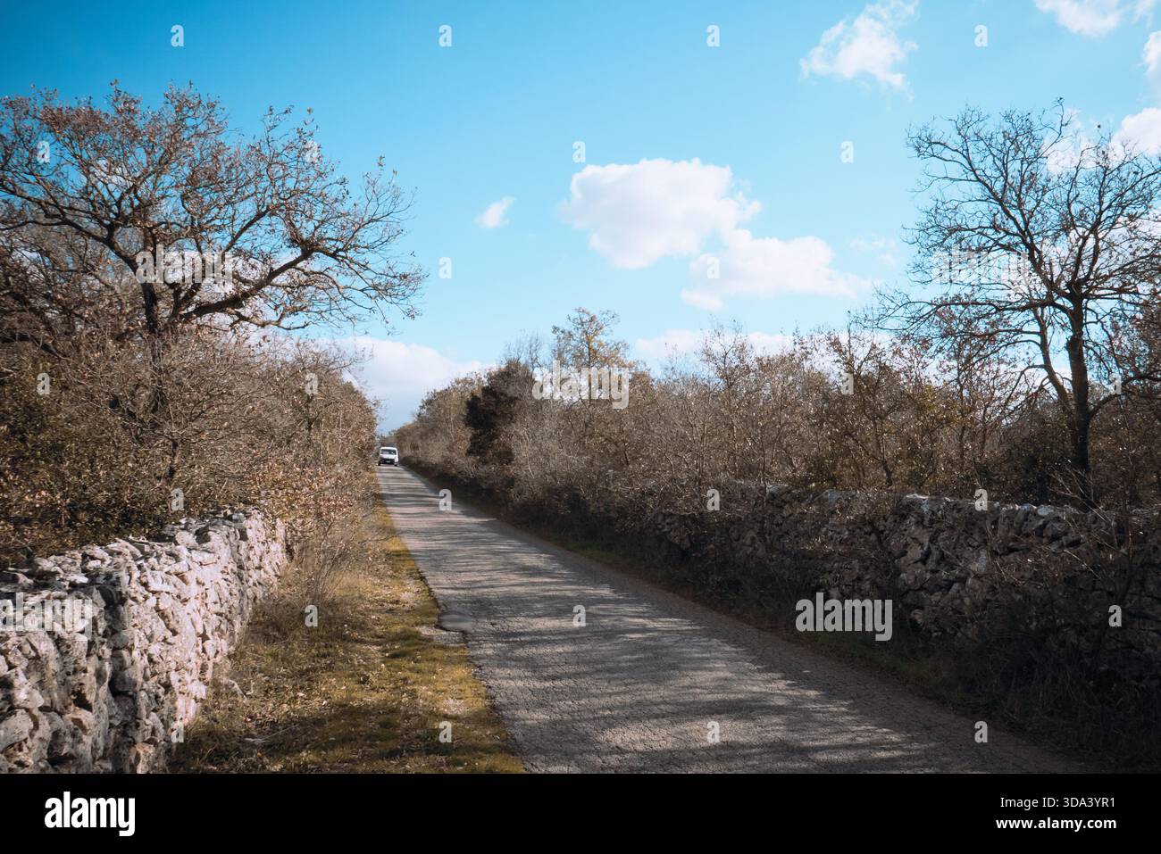 roads through oak forests in the hills of Puglia Stock Photo - Alamy