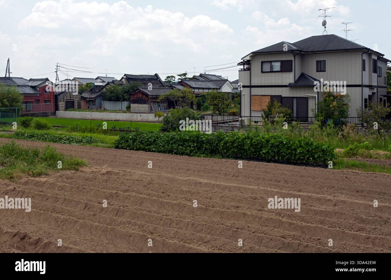 Rural residential neighborhood in the Japanese countryside with farm ...