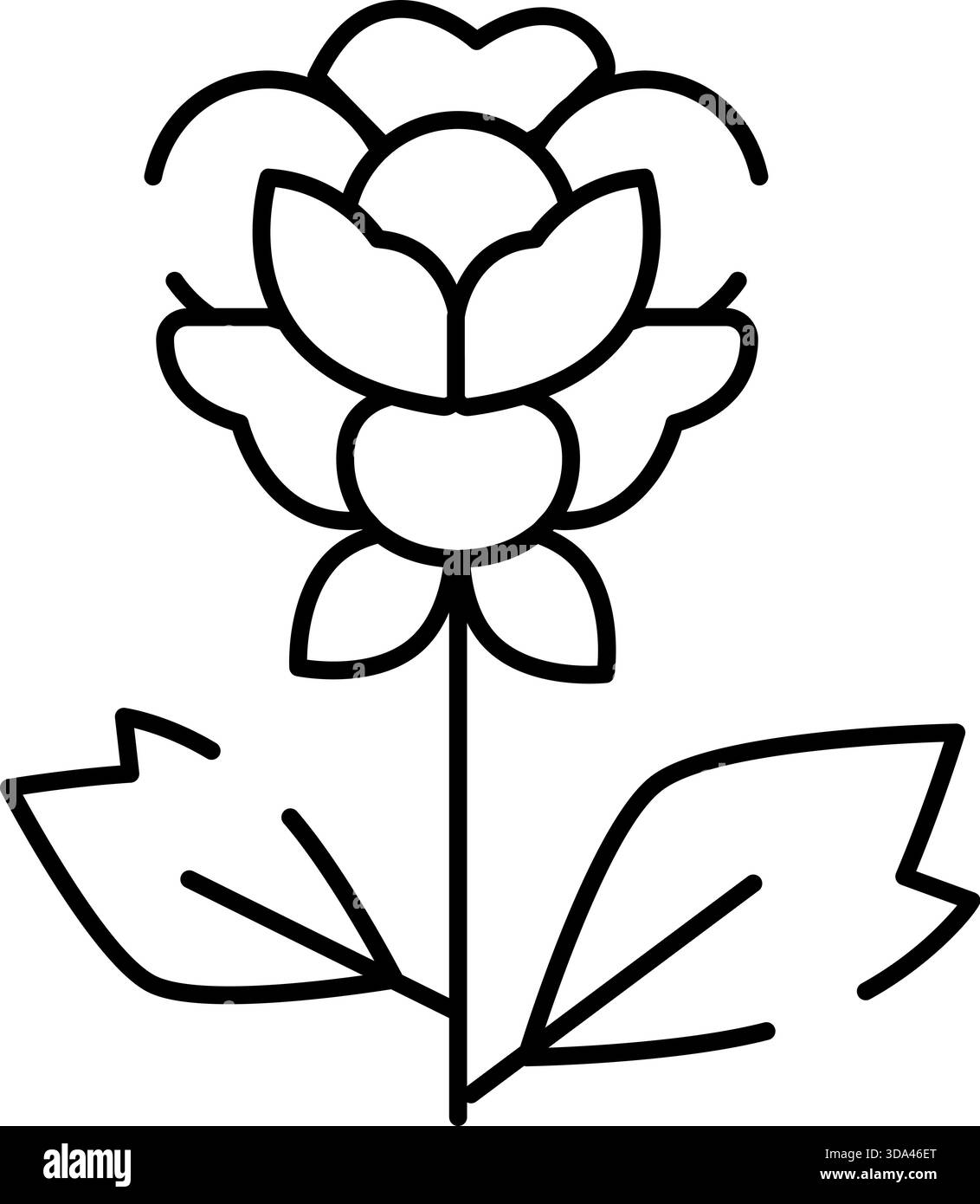 Leaf of cloudberry Black and White Stock Photos & Images - Alamy