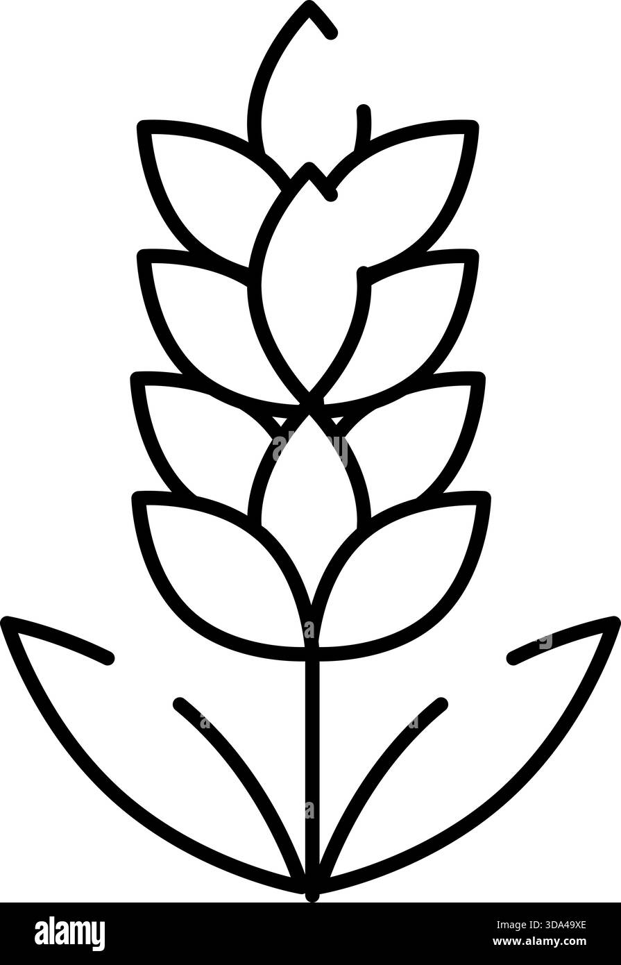 Cultivation of wheat art Stock Vector Images - Alamy