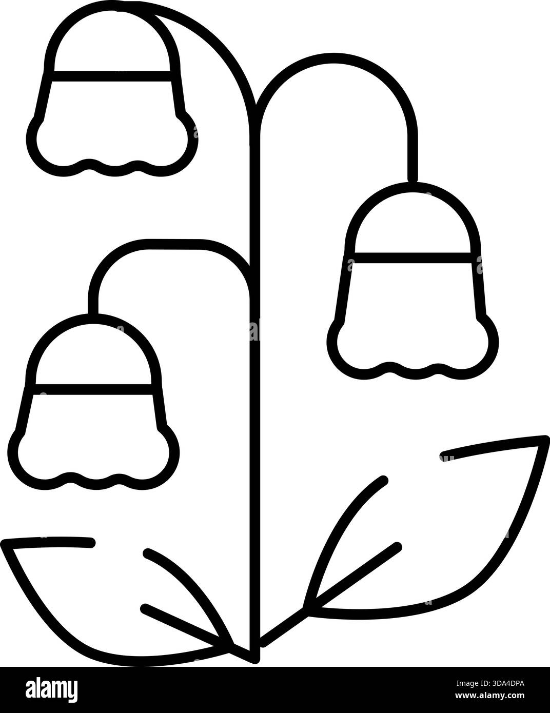 Lily of the valley flower minimal line art vector drawing Stock Vector ...