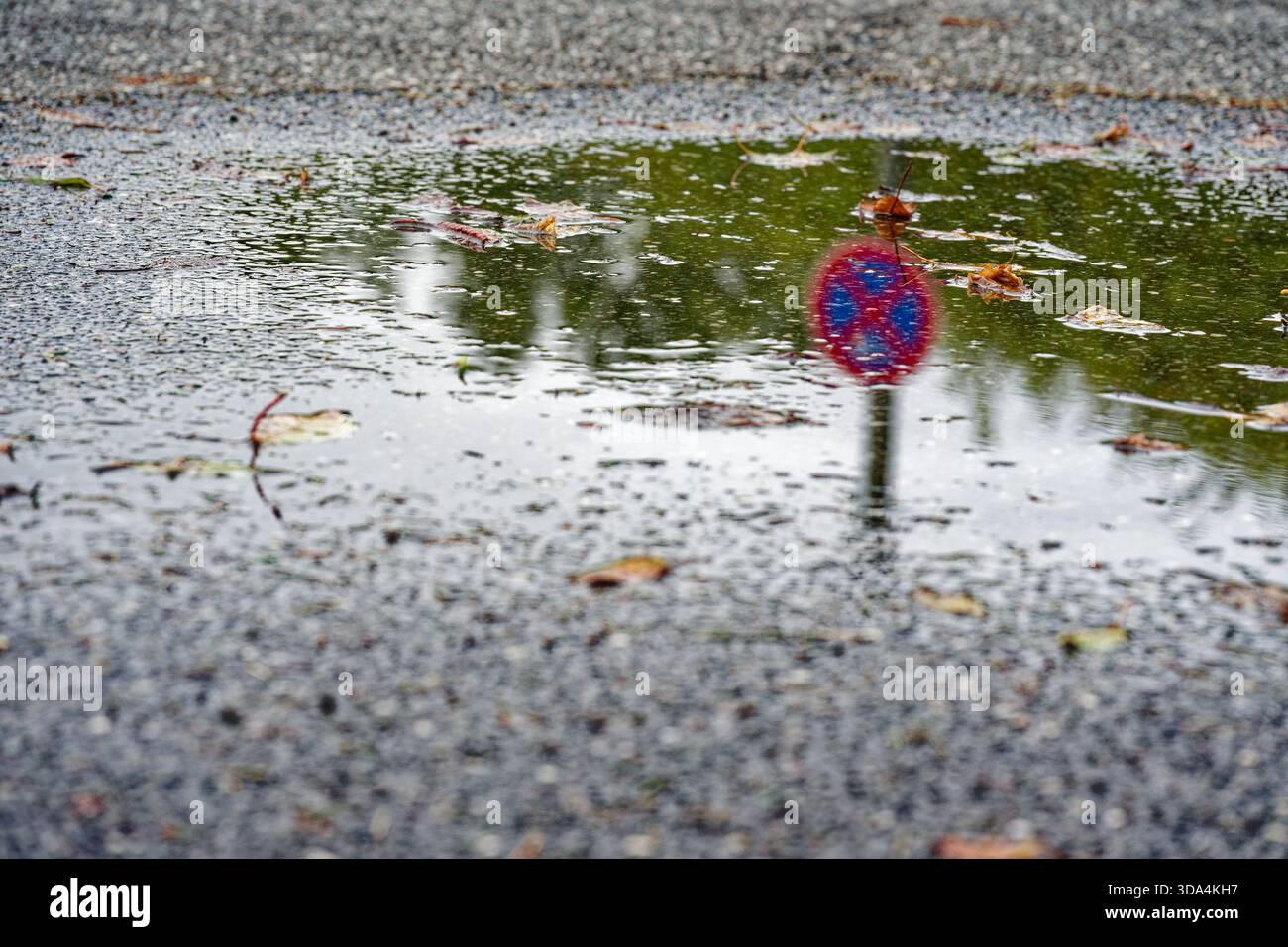 A rain puddle spreads across dark asphalt and mirrors a street sign ...