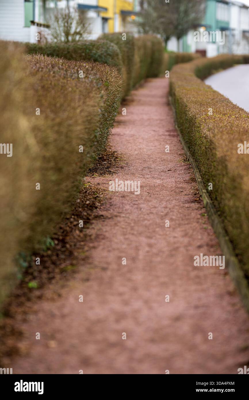 Narrow path pathway hedge hi-res stock photography and images - Alamy