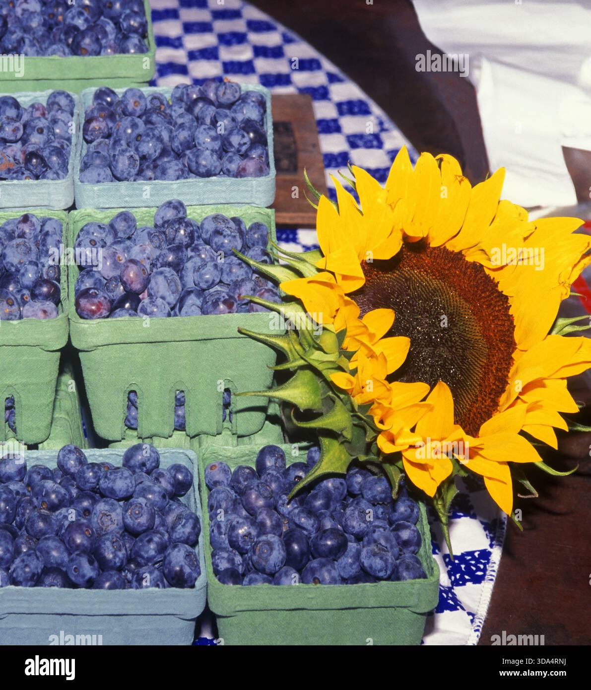 Blueberry pint hi-res stock photography and images - Alamy