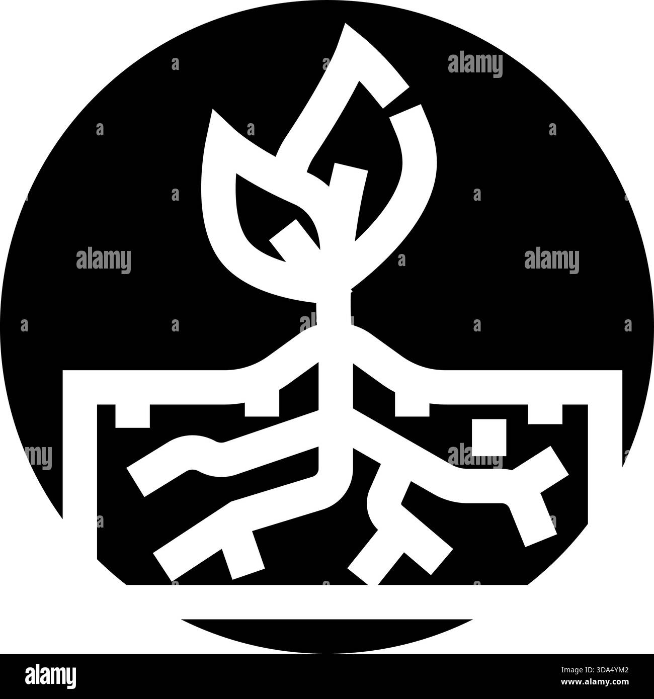 Growth plant from sprout Black and White Stock Photos & Images - Alamy