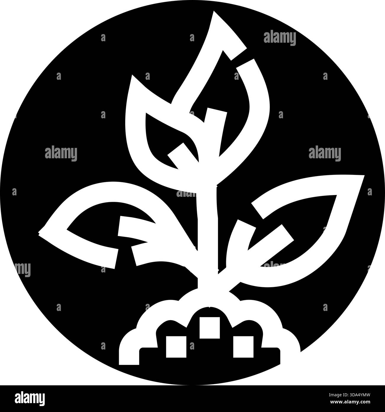 Fresh green sprout in Black and White Stock Photos & Images - Alamy