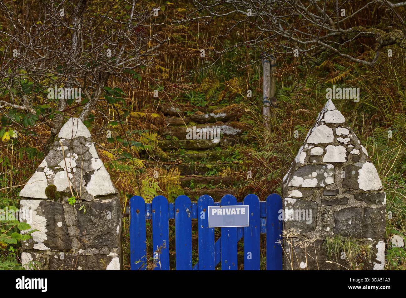 Totachocaire farm hi-res stock photography and images - Alamy